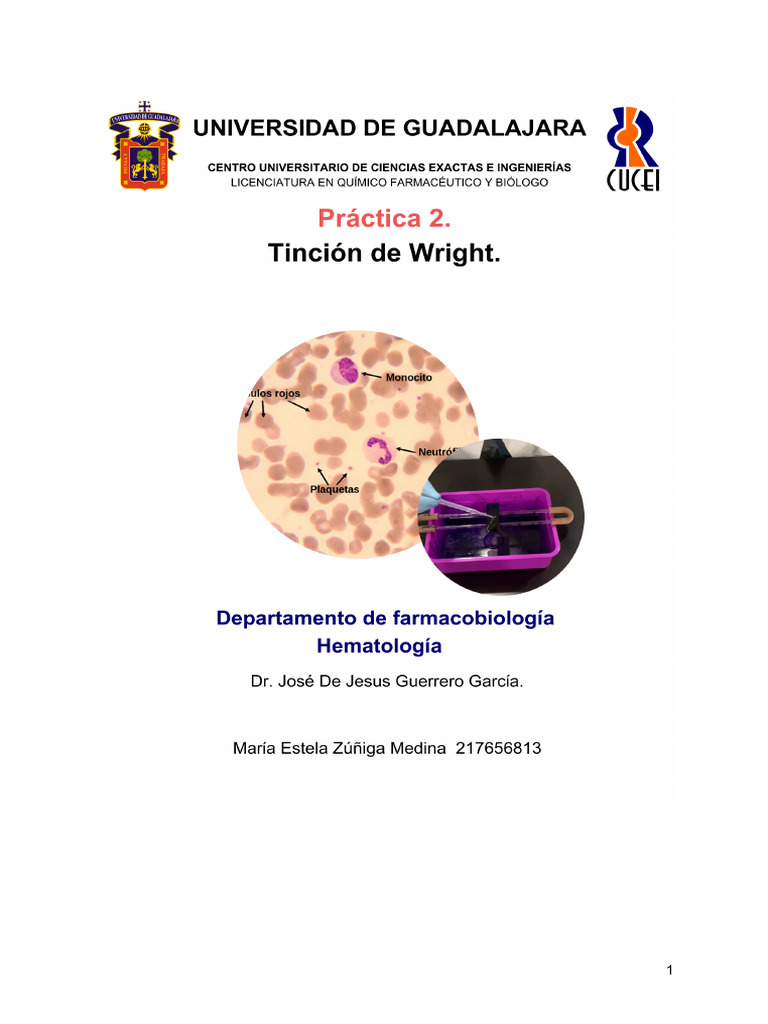 Práctica 2. Tinción de Wright. | PDF | Leucocito | Tinción