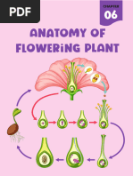 ANATOMY OF FLOWERING PLANTS NCERT - Compressed | PDF | Leaf | Tissue ...
