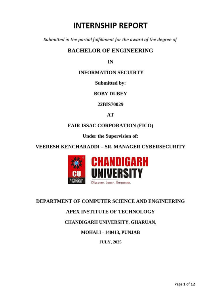 Sample - Internship Progress Report | PDF | Computer Security | Security