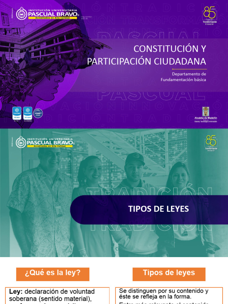 Tipos de Leyes | PDF | Constitución | Gobierno