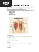 Pectoral Region Anatomy Overview | PDF