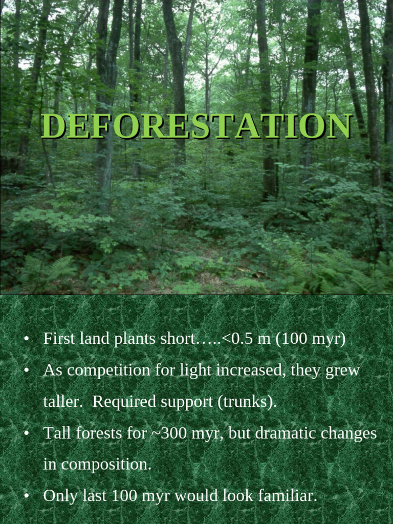 Unit10 Deforestation | PDF