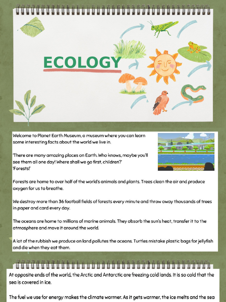 Ecology Lesson | PDF