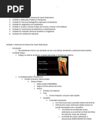 Anatomia do Dente 27: Molar Superior | PDF | Raiz | Dente