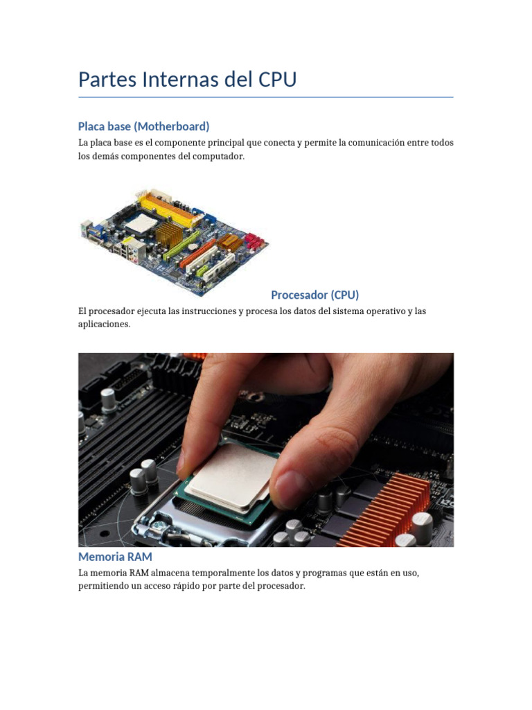 Partes Internas CPU | PDF