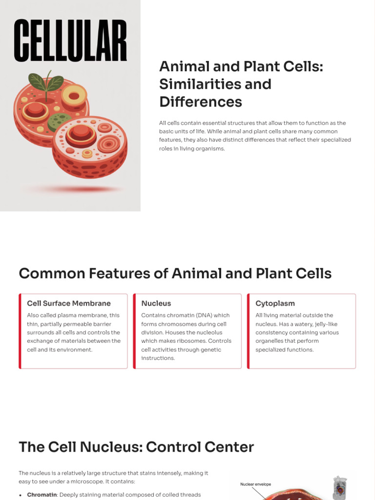 Animal and Plant Cells Similarities and Differences | PDF | Cell ...