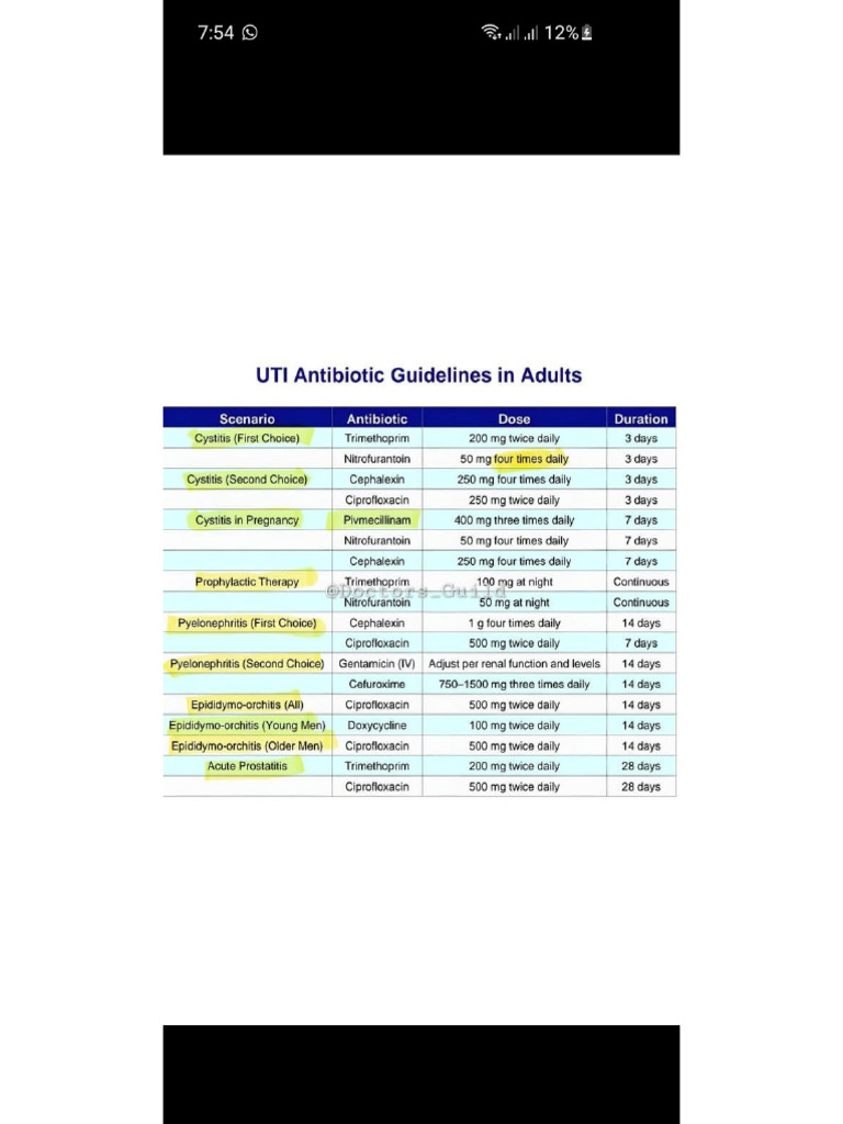 Antibiotics For Uti | PDF