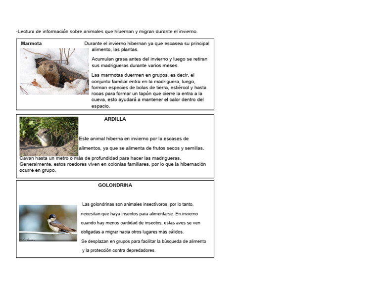 Animales que Hibernan y Migran en Invierno | PDF
