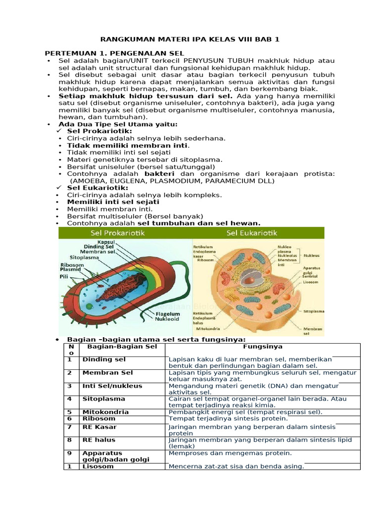 Proses Spesialisasi Sel dalam Organisme | PDF