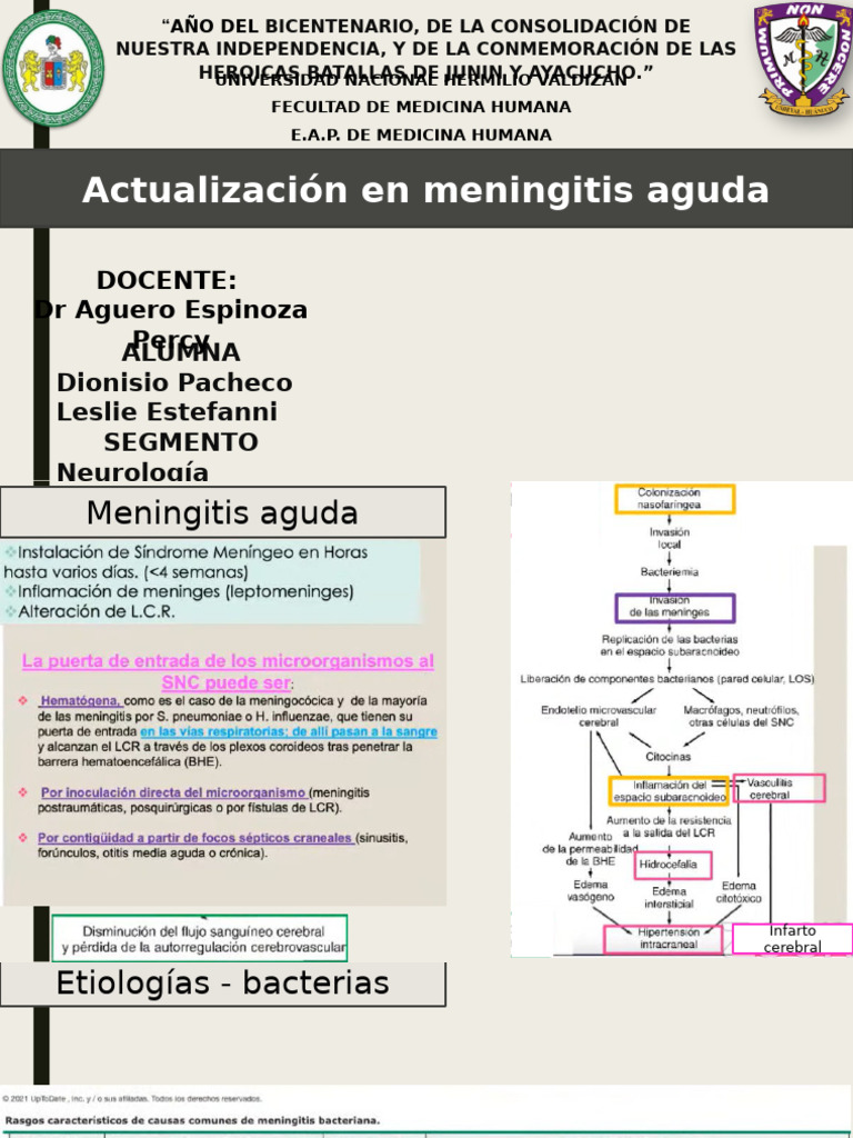 Actualización sobre Meningitis Aguda en Neurología | PDF