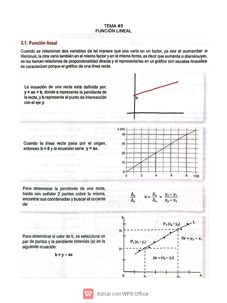 Tema #5 Gráfica Lineal | PDF | Infografia | Informática
