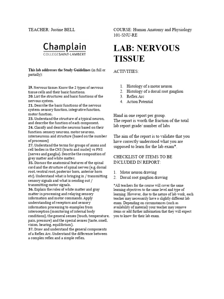Nervous Tissue Lab: Anatomy & Functions | PDF | Nervous System | Motor ...