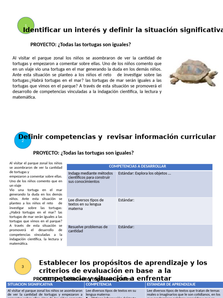 Proyecto de Indagación sobre Tortugas | PDF | Aprendizaje | Información