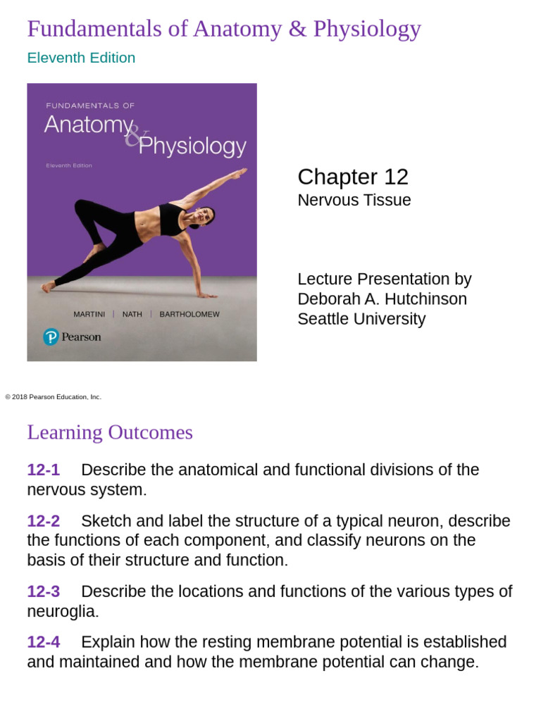 Nervous Tissue: Anatomy & Function Overview | PDF | Action Potential ...