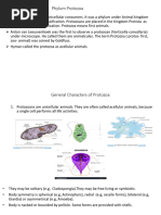 Microscopy Euglena | PDF