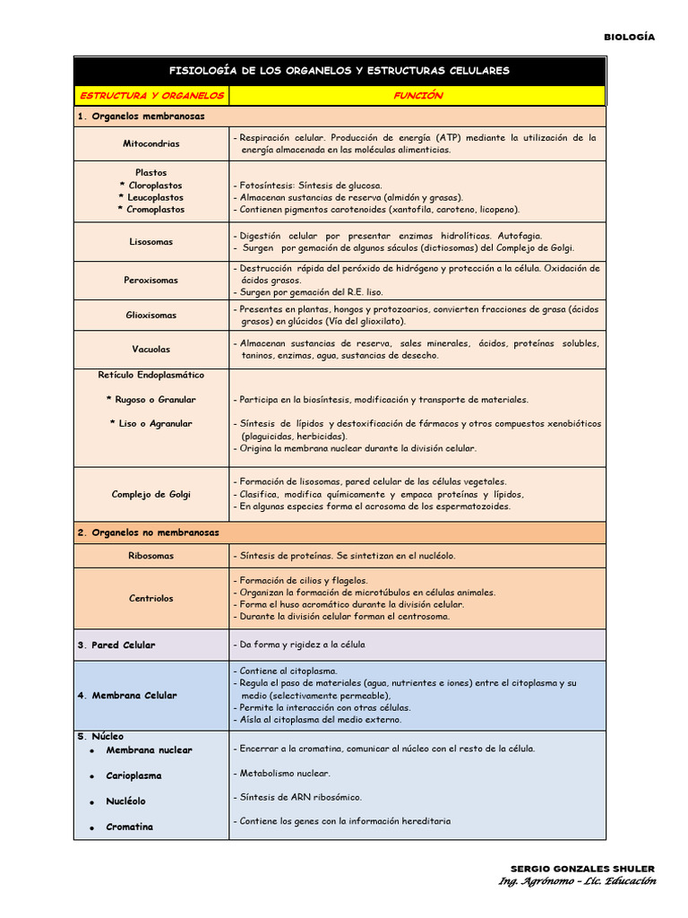 Estructura y Función de Organelos Celulares | PDF | Biología Celular ...