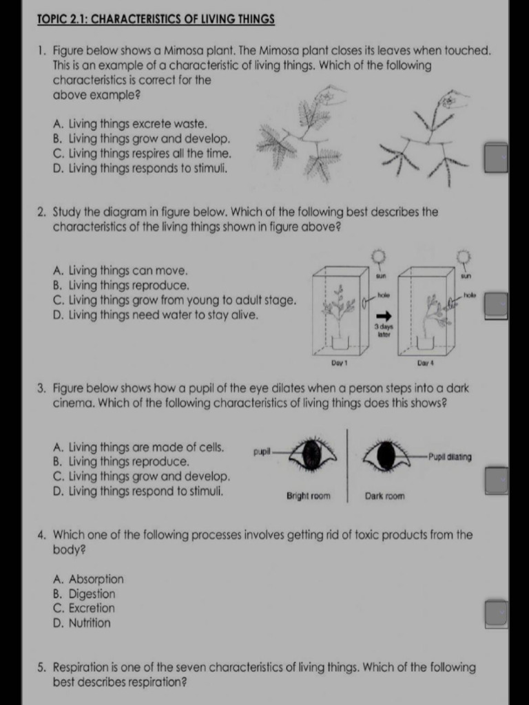 Characteristics of Living Things and Tipirex | PDF | Life | Insects