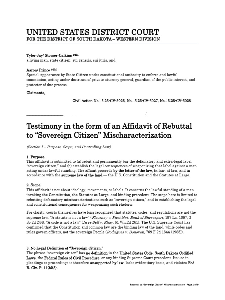 Rebuttal to "Sovereign Citizen" Label | PDF | Defamation | Title 18 Of ...