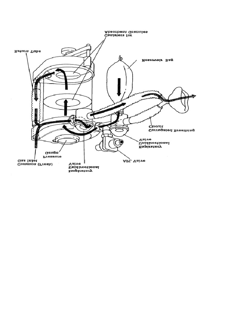 Anesthetic Gases: Workplace Safety Guide | PDF | Anesthesia | Breathing