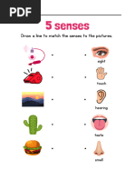 5 Senses Booklet | PDF