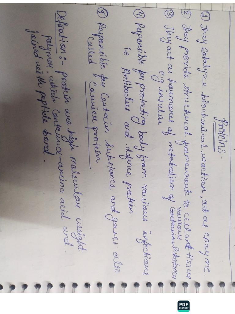 Sheikh Fatima, Roll No. 34 | PDF