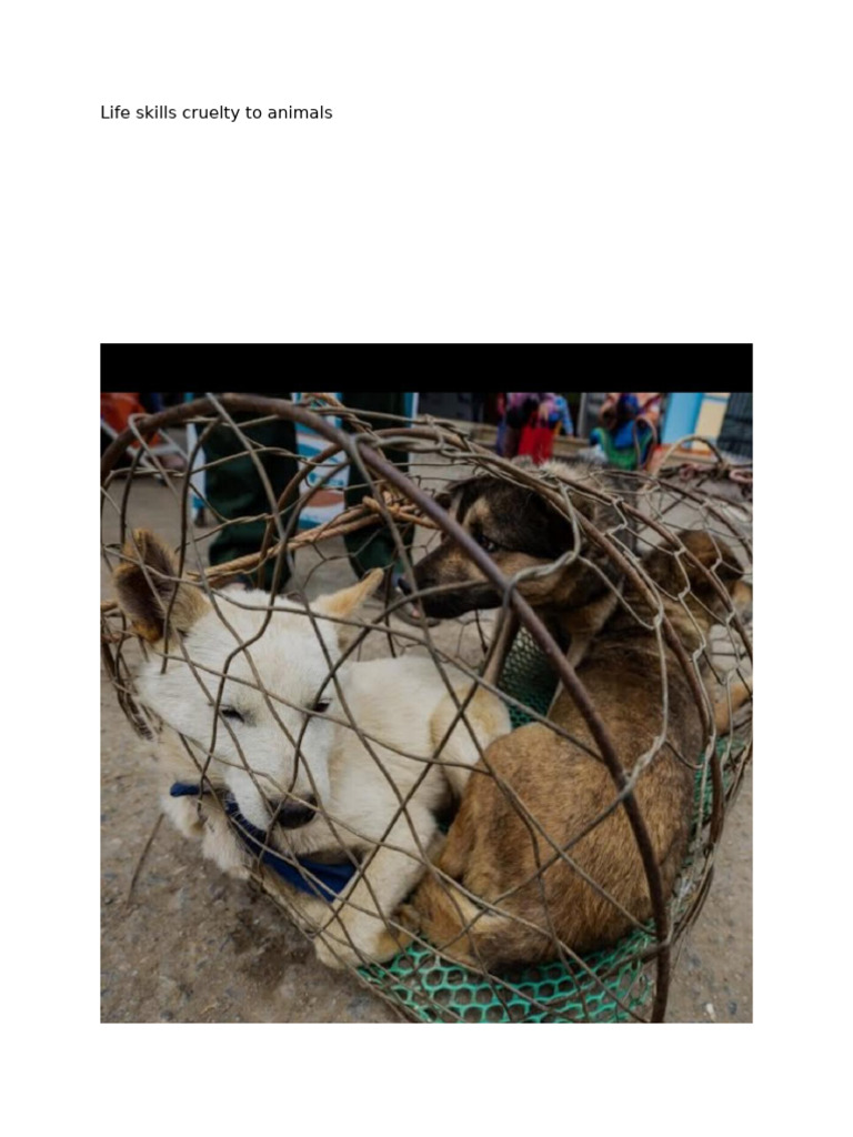 Life Skills Cruelty To Animals | PDF