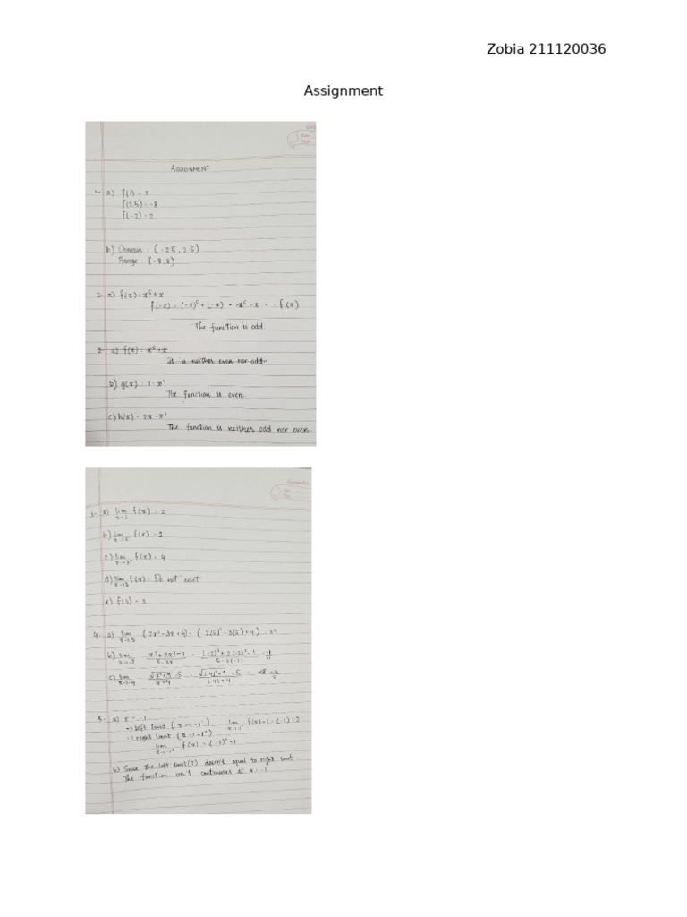 Calculus Assignment | PDF