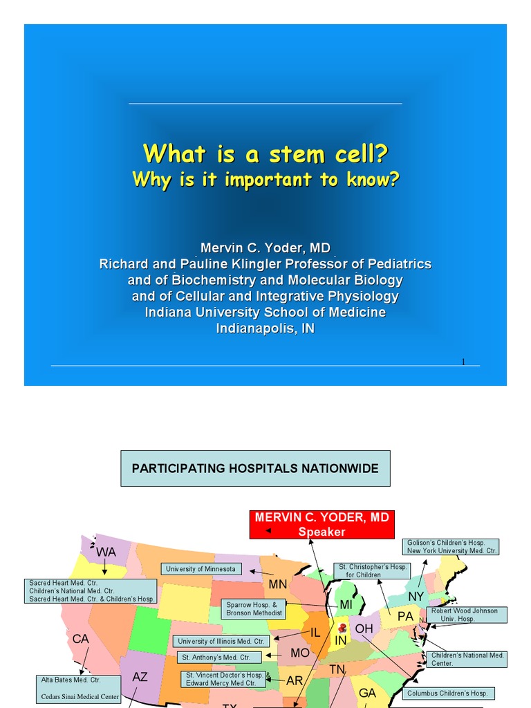 What Is A Stem Cell? | PDF | Stem Cell | Cell Potency