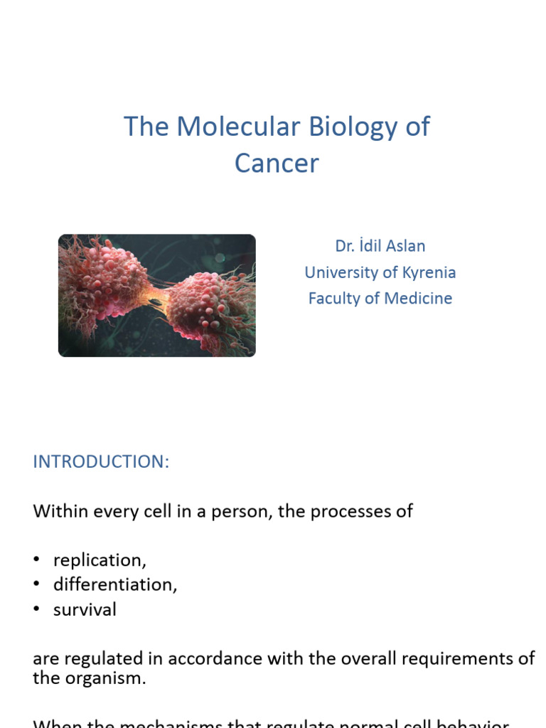Understanding Cancer Biology Basics | PDF | Oncogene | Cancer