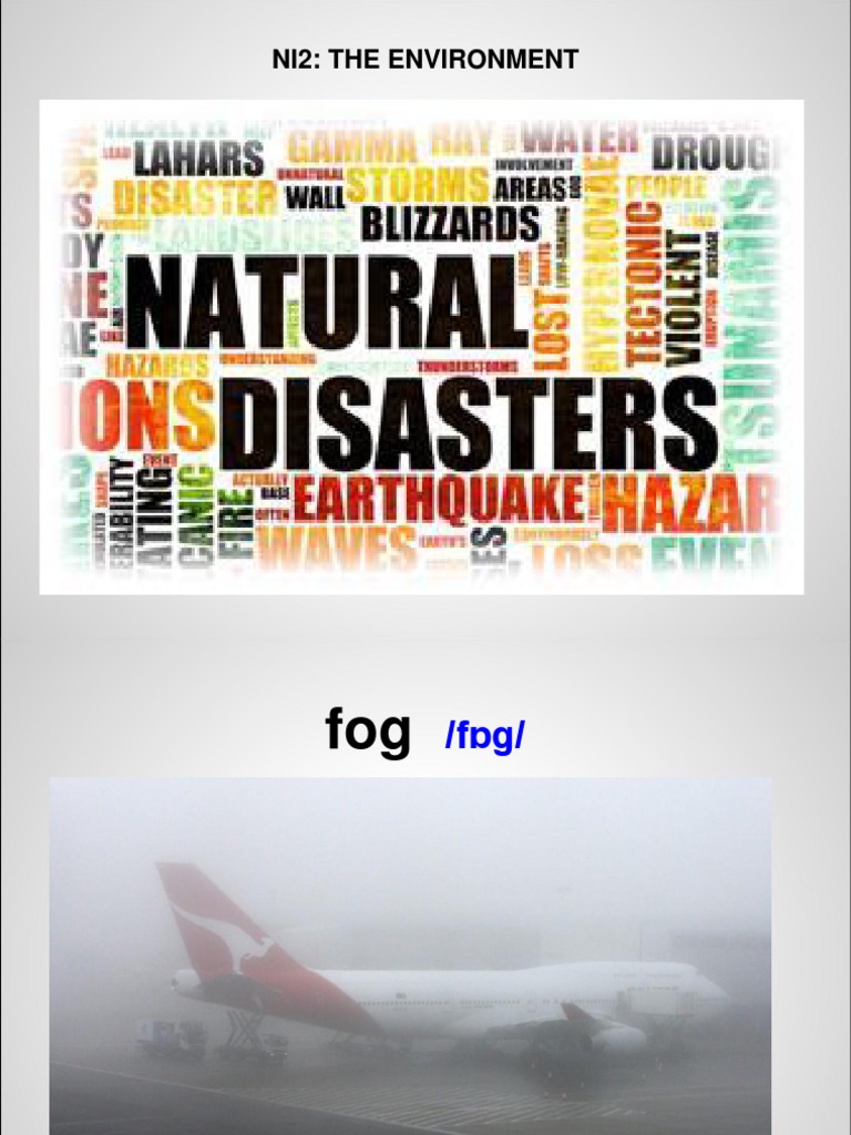 Environment Weather | PDF