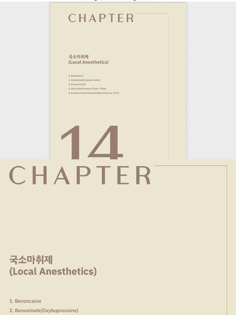 Local Anesthetics Chapter14 Updated | PDF