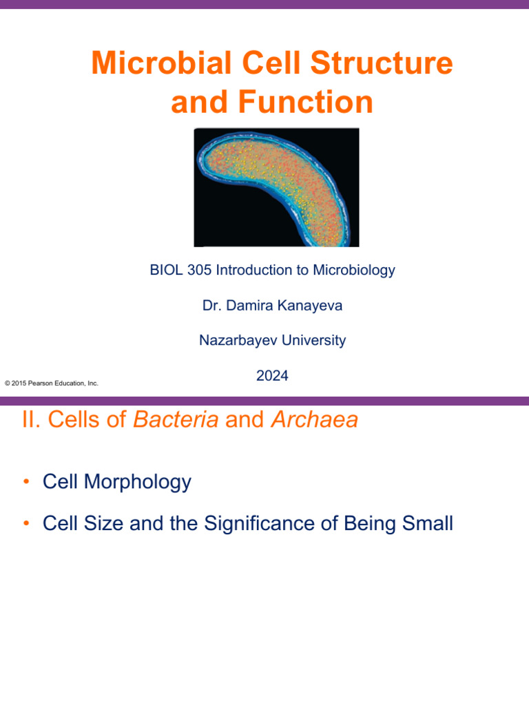 L2-1 Microbial Cell Structure and Function | PDF | Cell Wall | Lipopolysaccharide