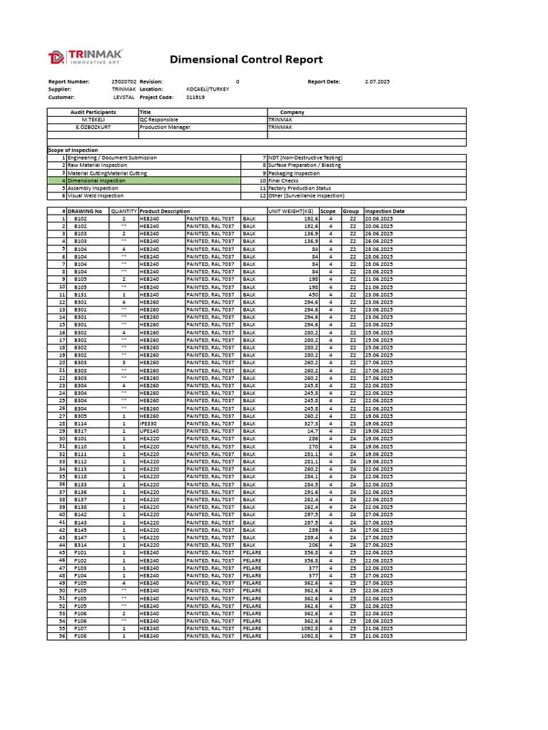 Dimensional Control Report S11919 | PDF | Quality