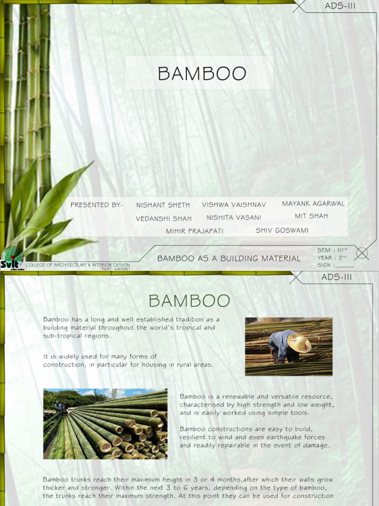 Bamboo PPT New | PDF