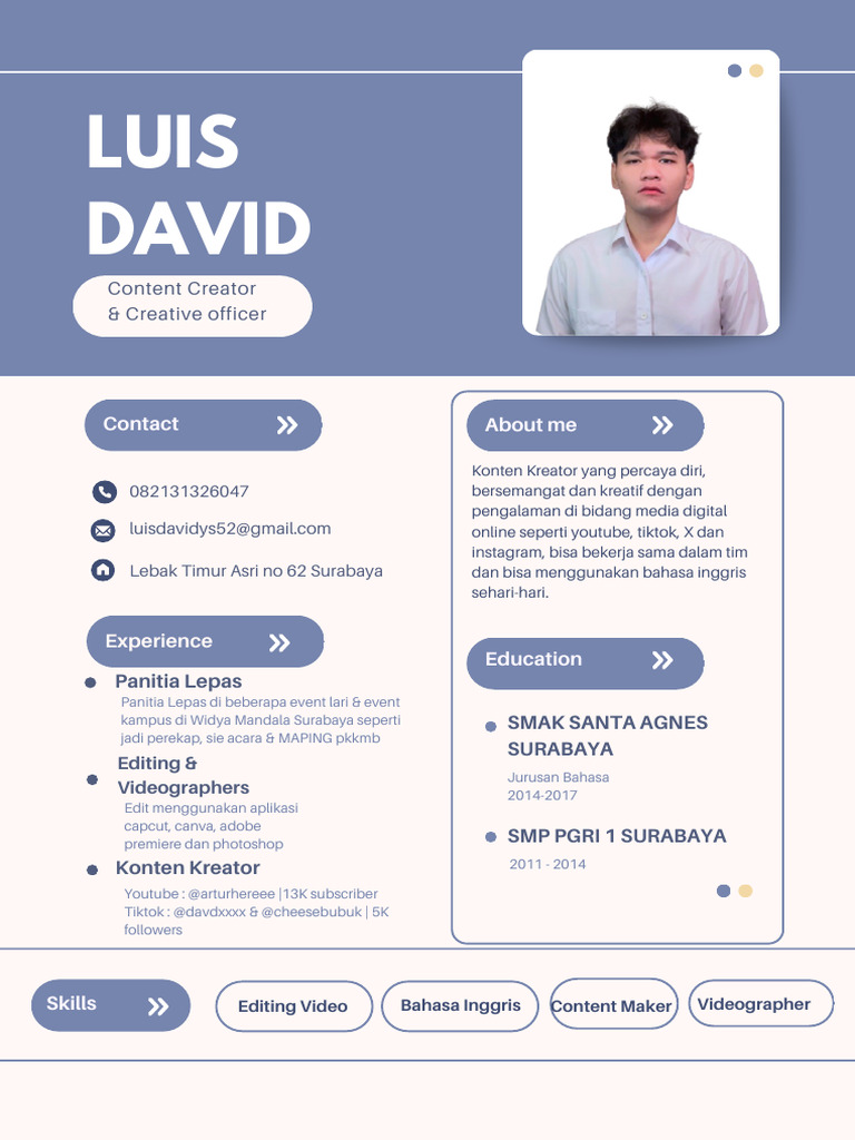 Luis David CV | PDF