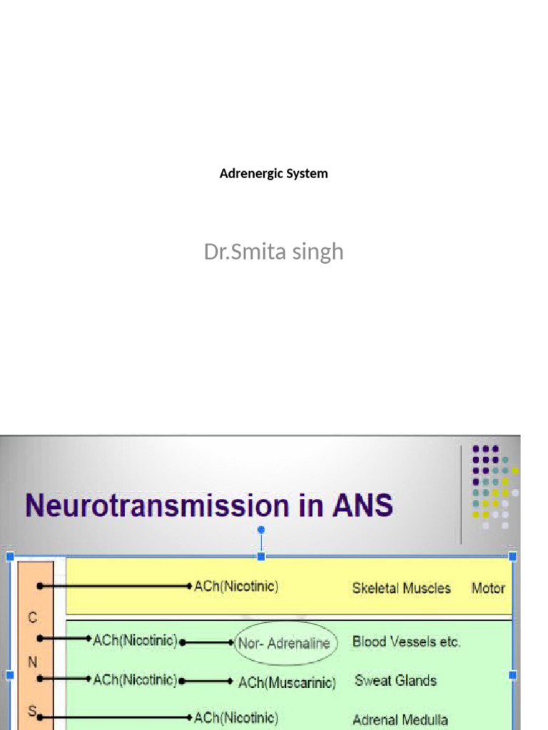 Overview of the Adrenergic System | PDF