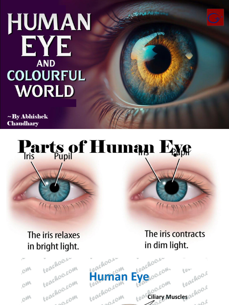 Human Eye and Light Phenomena Explained | PDF