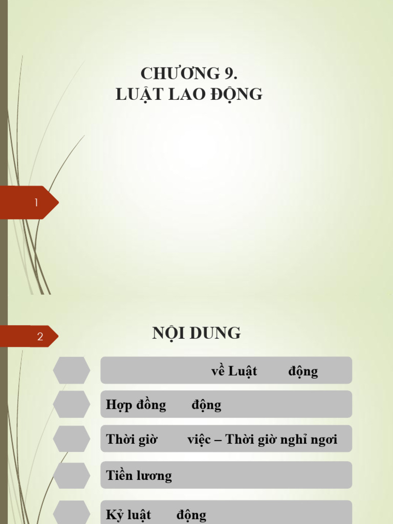 Chuong 9 - Luat Lao Dong | PDF
