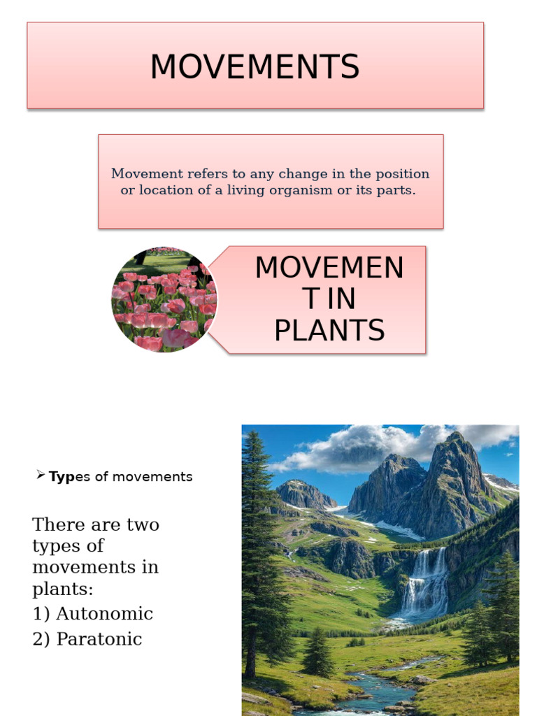 Plant Movements: Types Explained | PDF