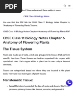 Class11 Biology Chapter6 Notes | PDF