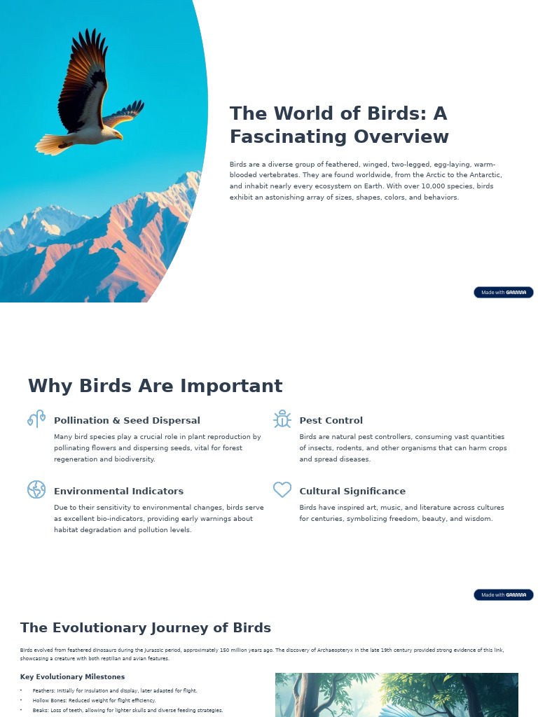 Importance of Birds in Ecosystems | PDF | Birds | Predation