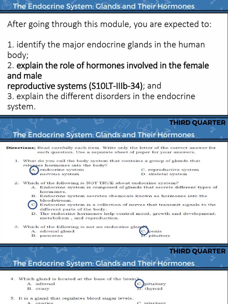 The Endocrine System Glands and Their Hormones | PDF | Endocrine System ...
