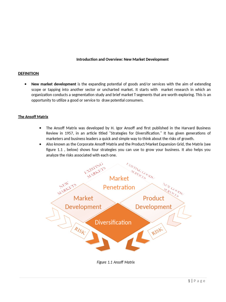 Introduction and Overview New Market Development | PDF | Marketing ...
