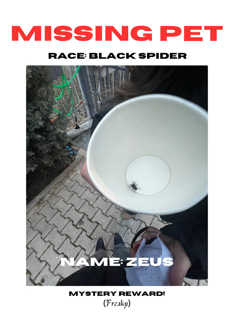 Missing Pet | PDF