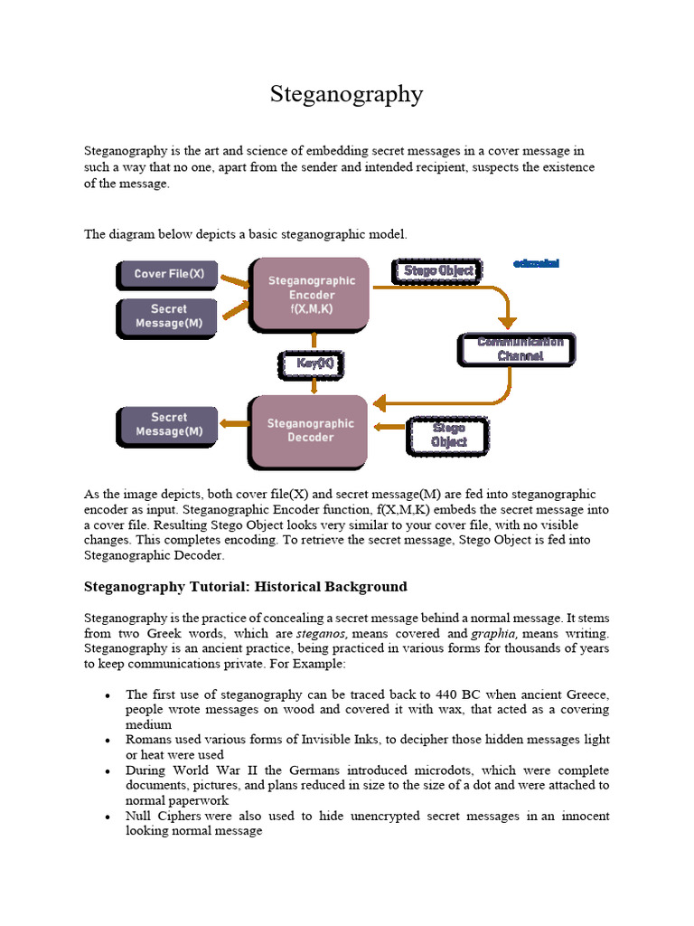 Steganography | PDF | Computing | Telecommunications