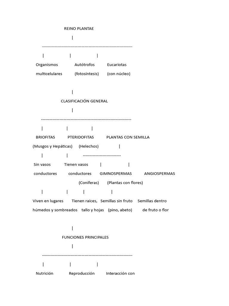Clasificación y Funciones del Reino Plantae | PDF