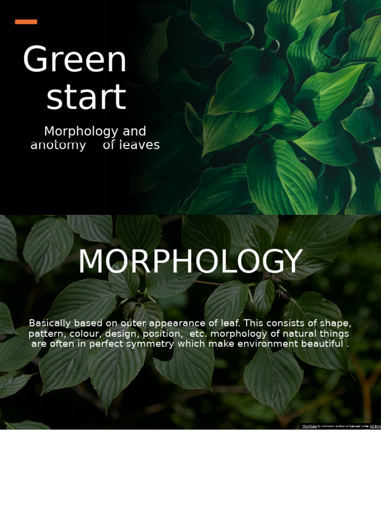 Green Start Shri | PDF
