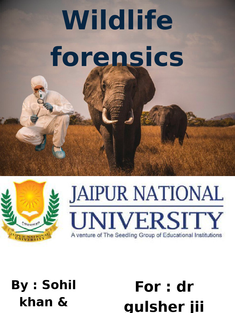 Wildlife Forensics - 20250823 - 190232 - 0000 | PDF