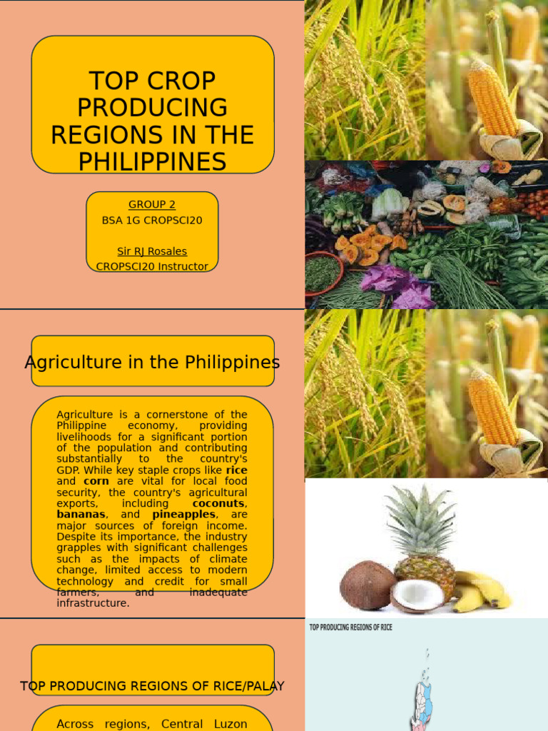Group 2 Presentation Cropsci20 Final | PDF | Economies | Agriculture