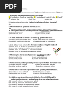 Slovesá - Tematický Test | PDF
